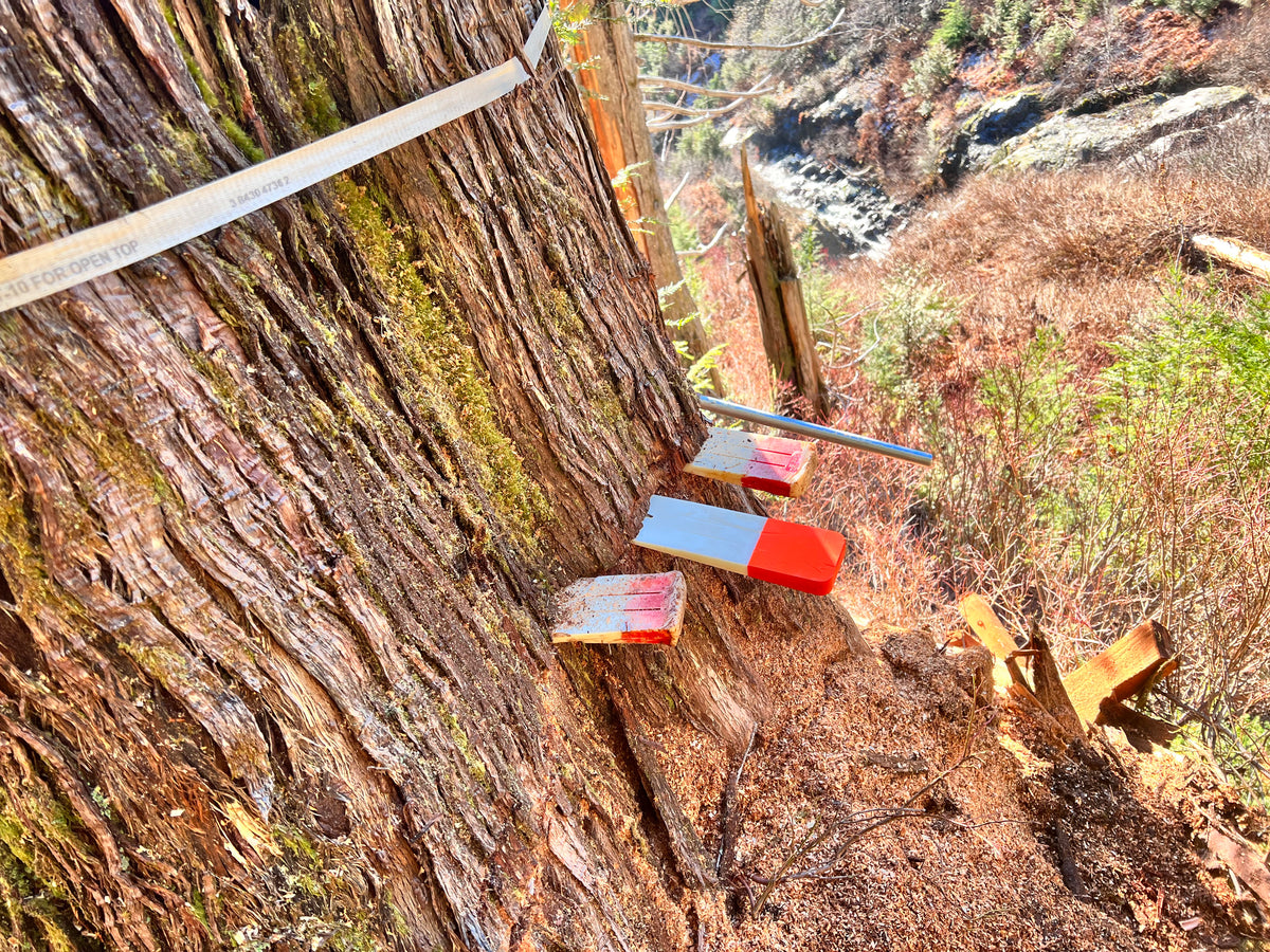 WoodBoss PowerWedge: Pre-Sale on Enhanced 12" Felling Wedge