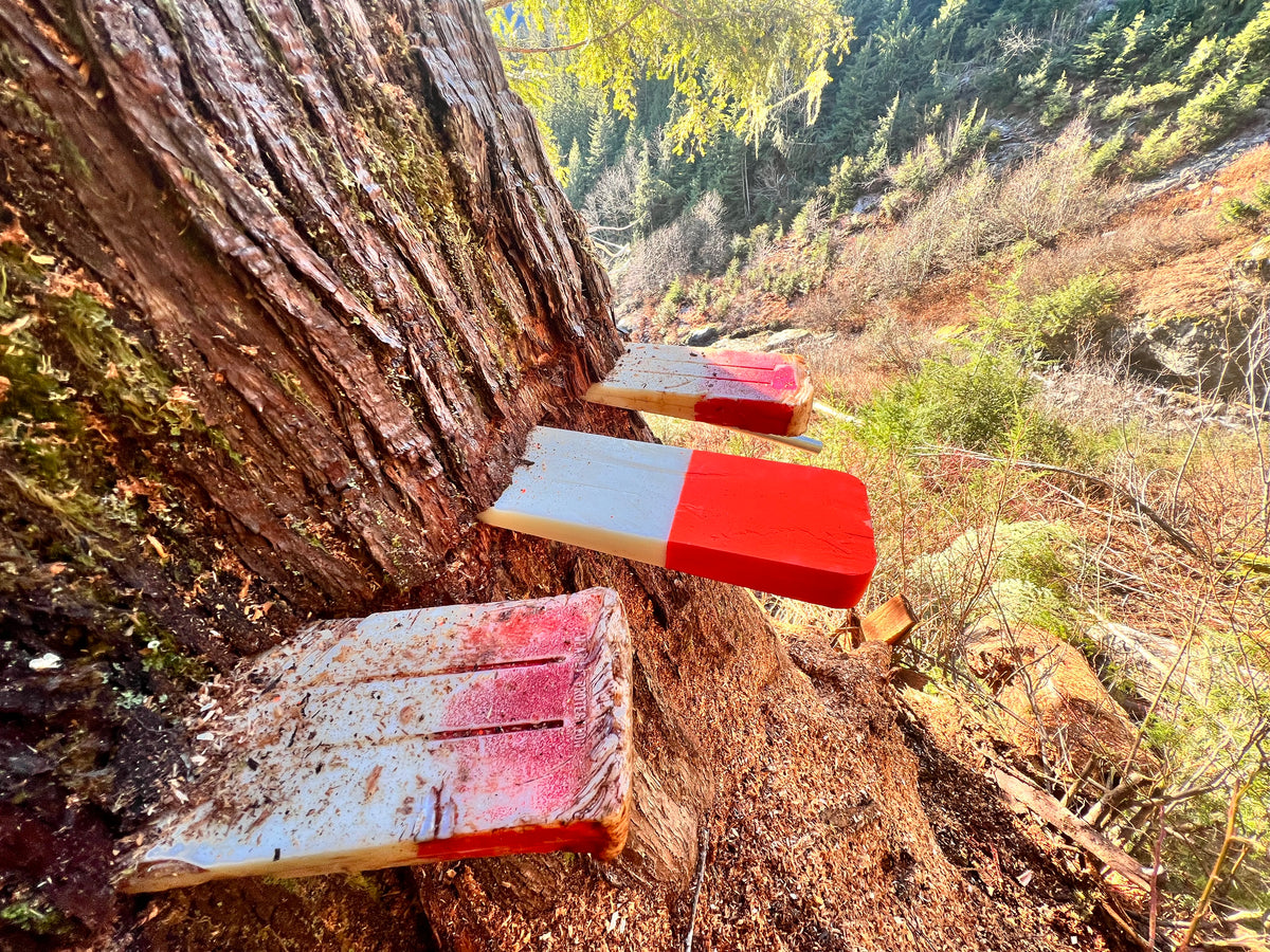 WoodBoss PowerWedge: Pre-Sale on Enhanced 12" Felling Wedge